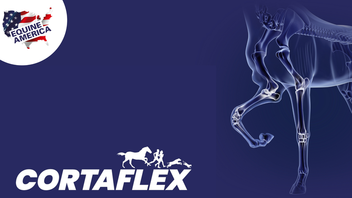 Explaining Cortaflex: a unique approach to joint support – Equine ...