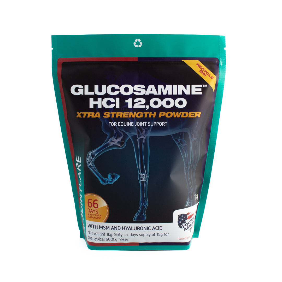 Joint supplements for horses store